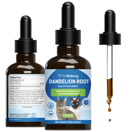 Dandelion Root - Holistic Digestive & Liver Support for Cats | Pet ...